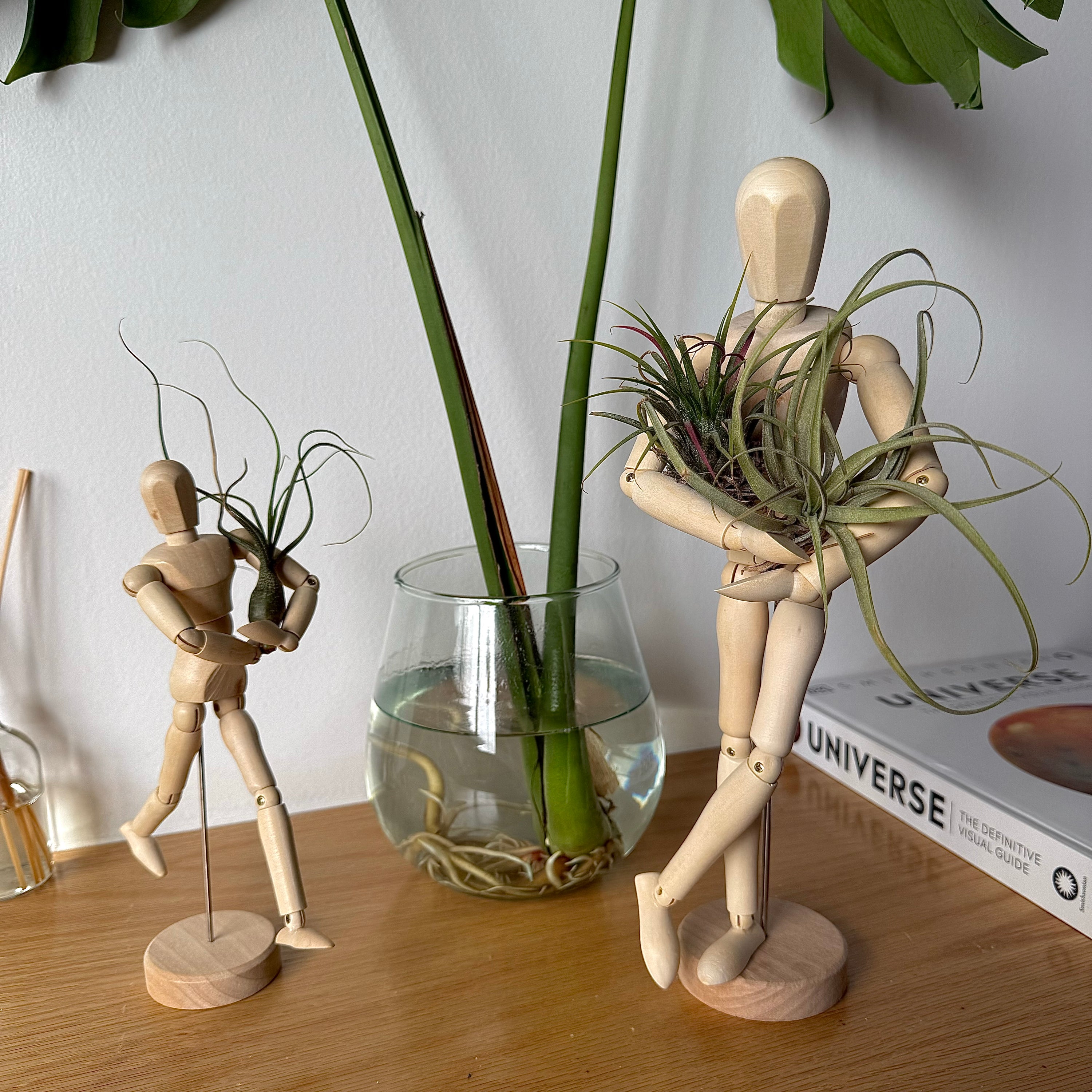 Crafting Your Own Prop Box: A Comprehensive Guide – Happyplanthome