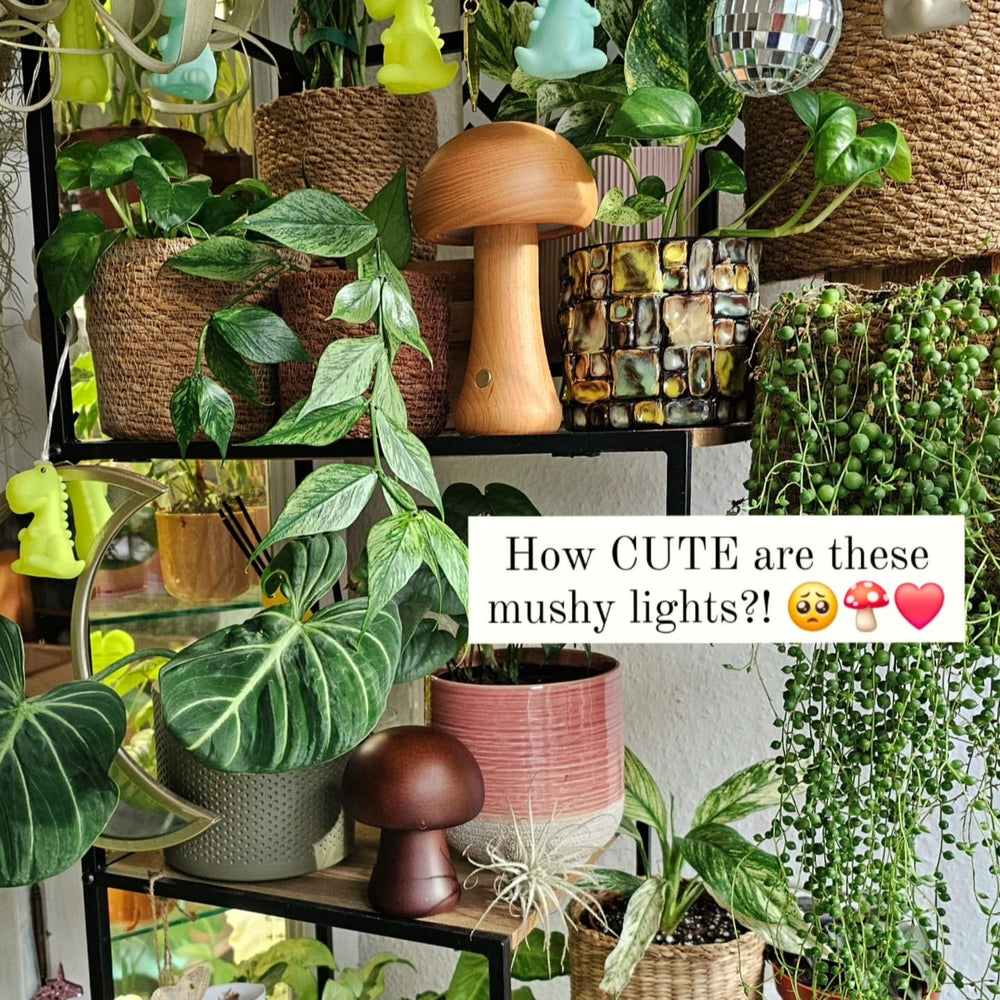 Crafting Your Own Prop Box: A Comprehensive Guide – Happyplanthome