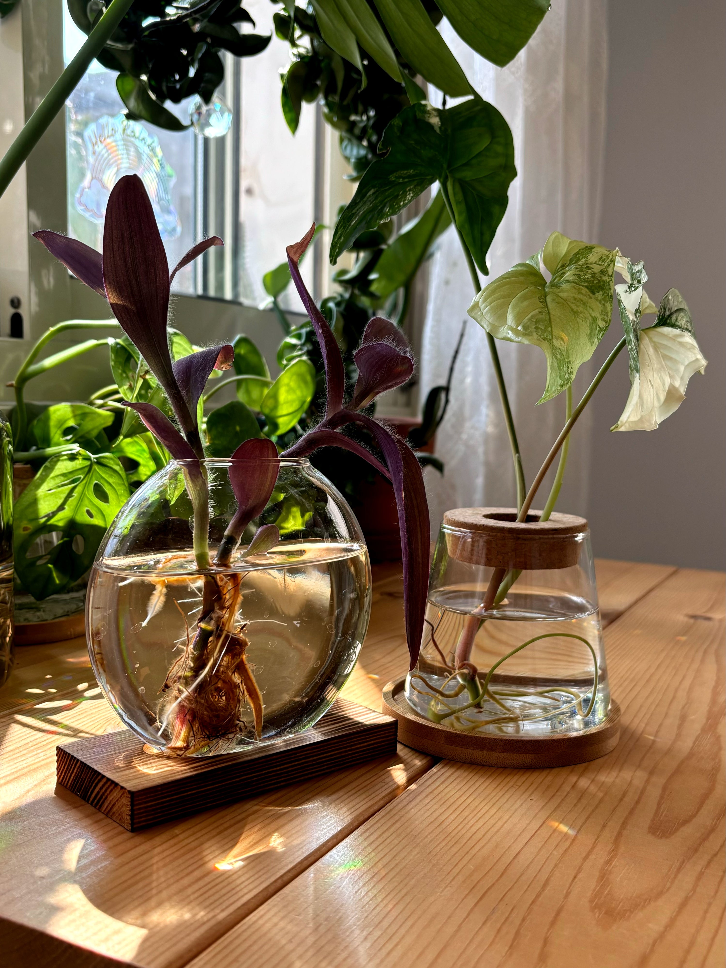 Crafting Your Own Prop Box: A Comprehensive Guide – Happyplanthome