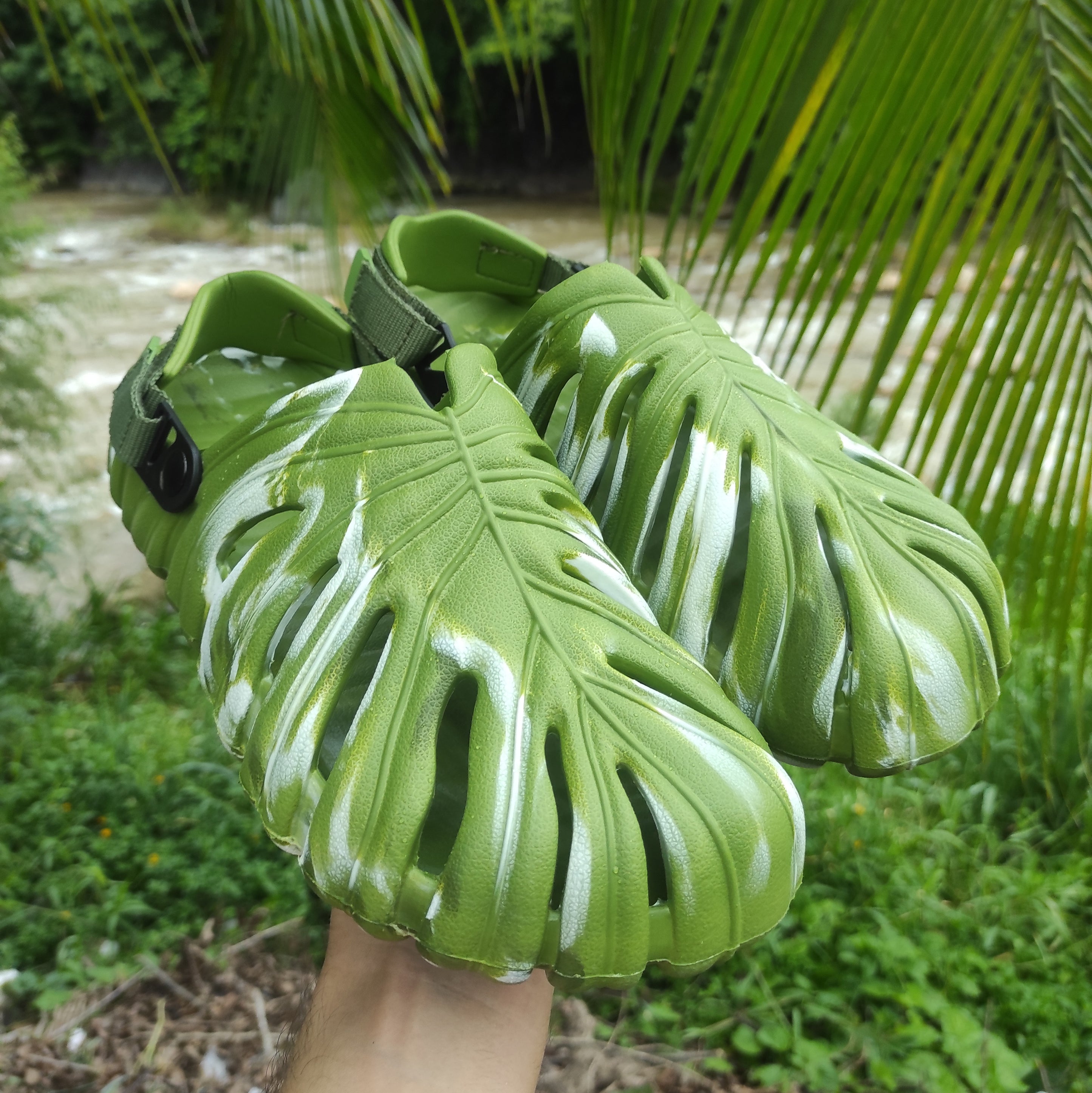 Variegated Monstera Shoes – Happyplanthome