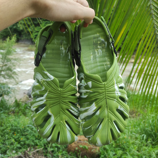 Variegated Monstera Shoes – Happyplanthome